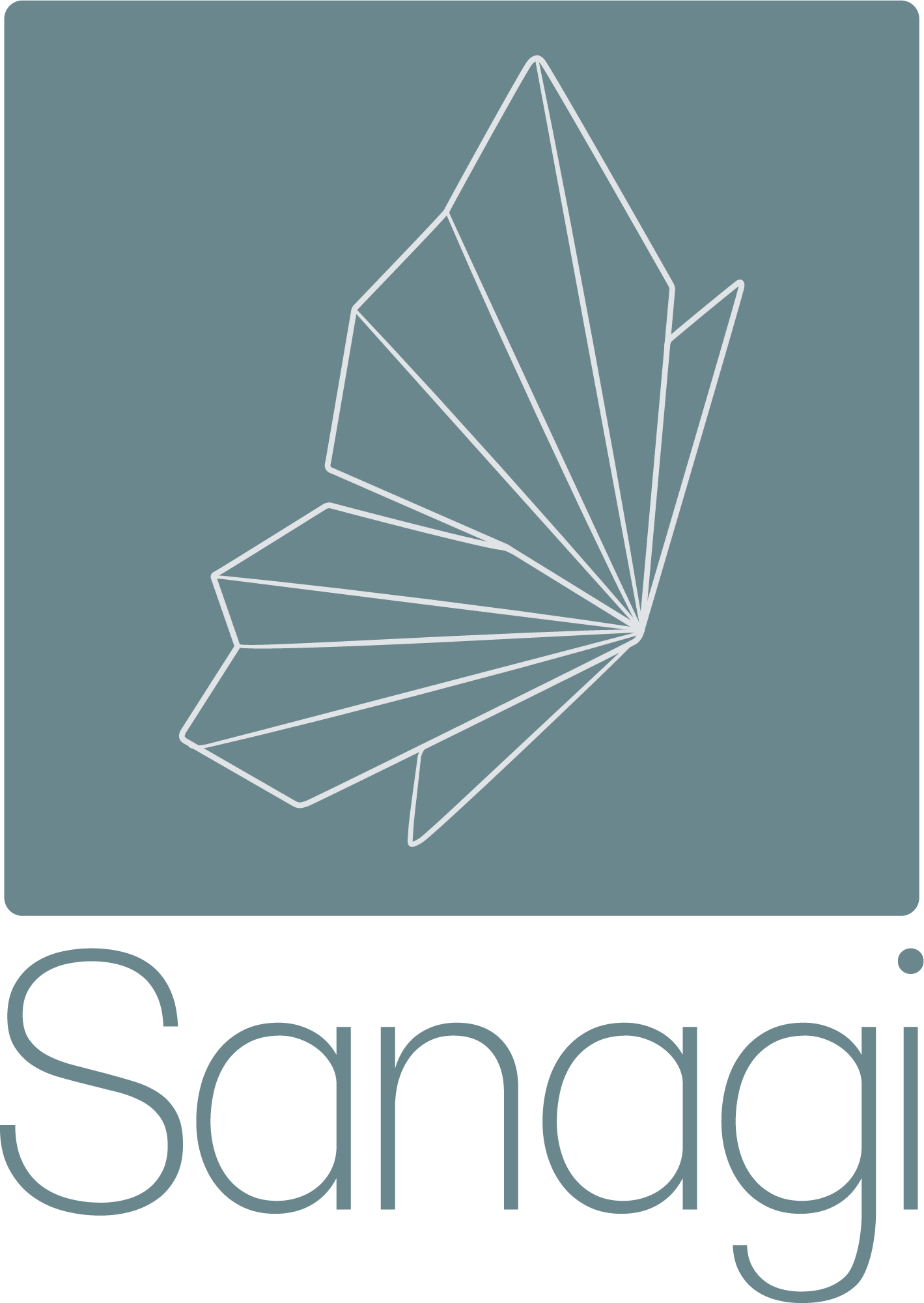 Sanagi : Performances et sérénité au travail - Carole Emilien